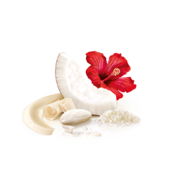 Raffaello | Chocolate Bars